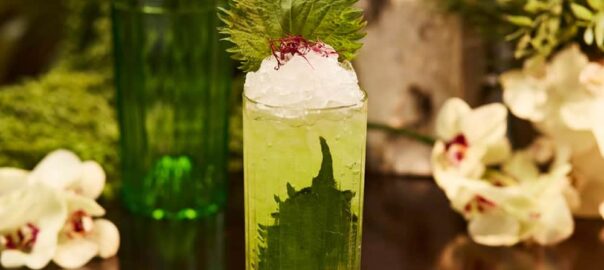 Cocktail Recipe: Shiso Leaves | FashionBeans