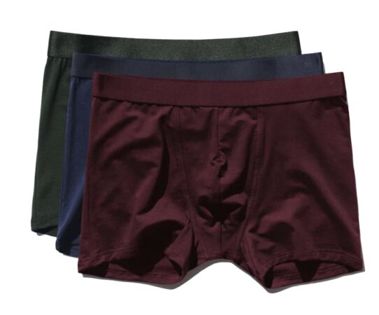 15 Of The Best Boxer Briefs: The Building Blocks Of Any Successful ...
